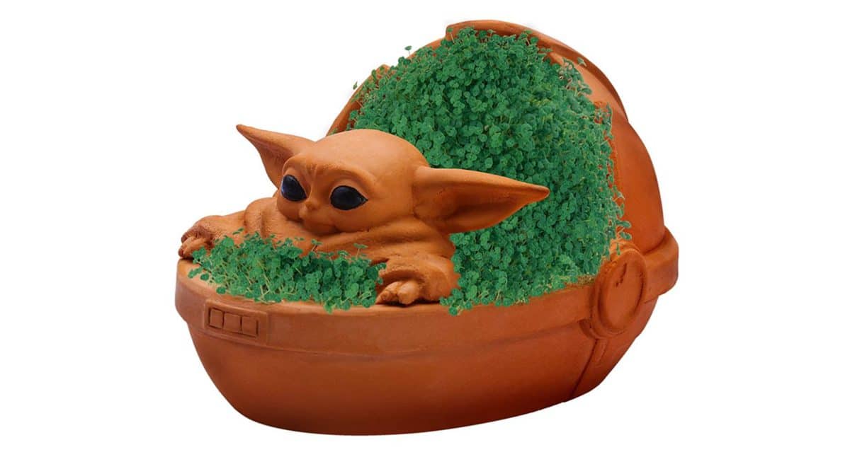 Chia Pet Jada Pet Friendly Hotels Near ME Chia Pet Jada Pet Friendly Hotels Near ME