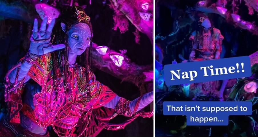 Disney's Animal Kingdom Animatronic Takes a Nap