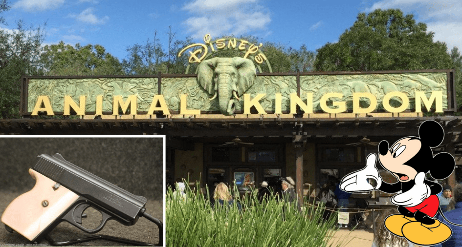 Stolen Gun Found in Minor's Backpack at Walt Disney World Resort