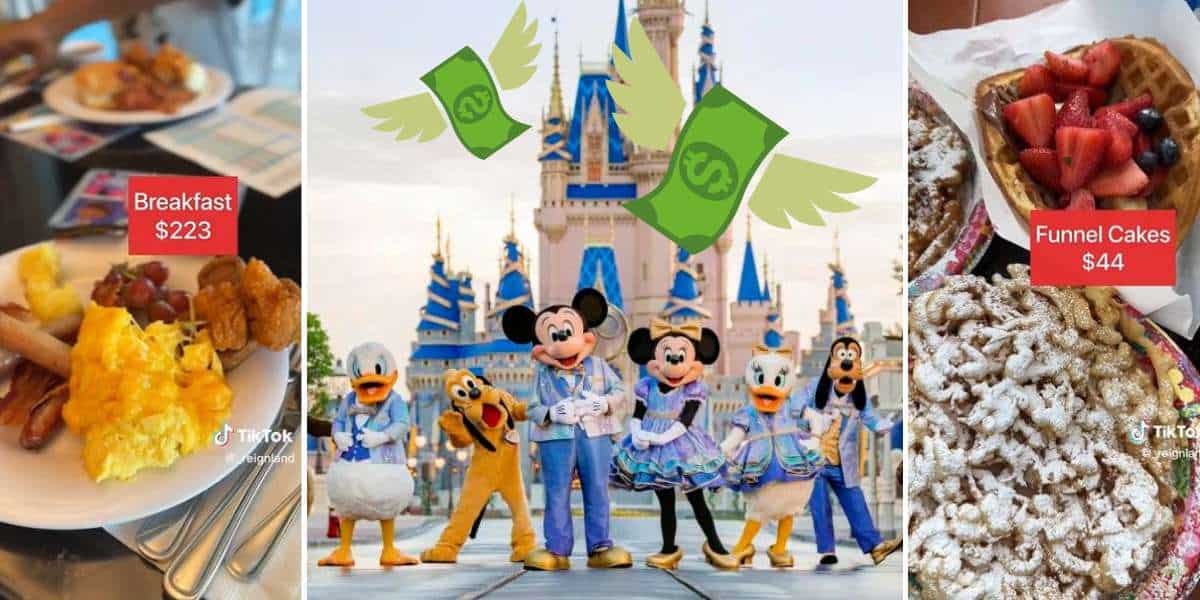 Guest Calls Disney World 'Robbery in Broad Daylight' After Spending ...