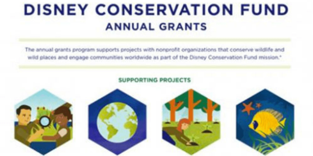 Awesome Facts About Disney’s Worldwide Conservation Fund • DisneyTips.com