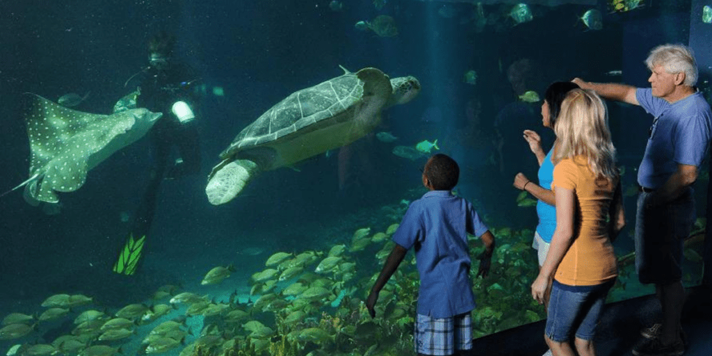 Awesome Facts About Disney’s Worldwide Conservation Fund • DisneyTips.com