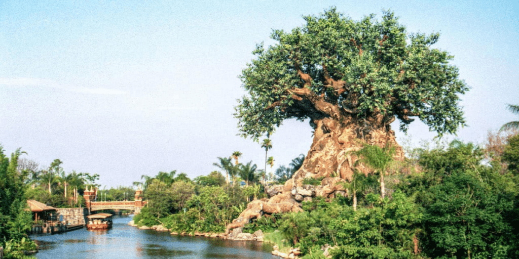 Do You Know Where Every Disney Park is Located? • Disney Tips