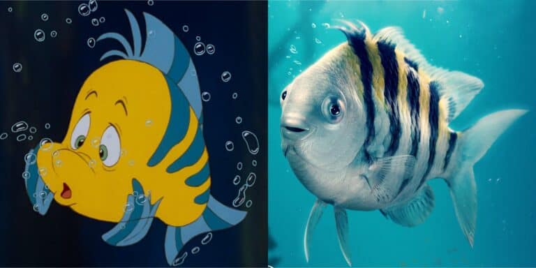 Animal Sidekicks in 'The Little Mermaid' • DisneyTips.com
