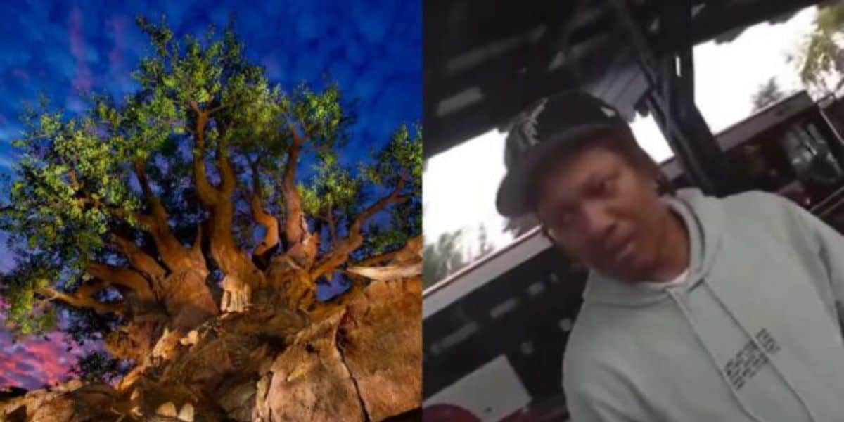 VIDEO Released of Fugitive Caught at Walt Disney World
