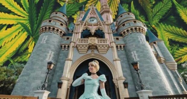 Top 6 Reasons We Love Dining in Hollywood Studios at Walt Disney World ...