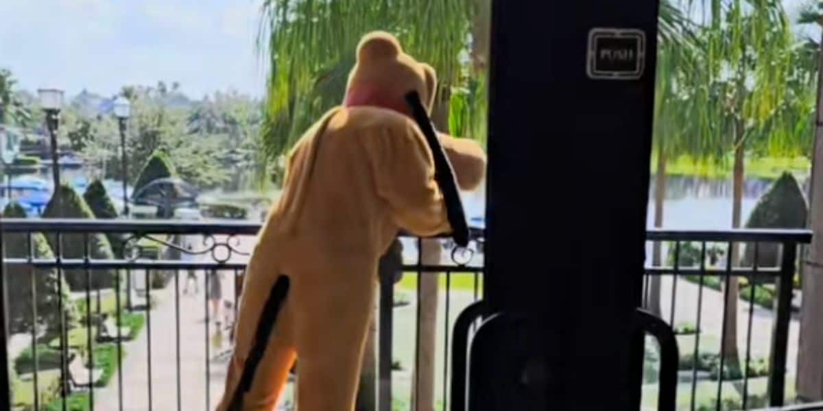 Disney Character Leaves to “Cool Down” After Getting Punched by Guest
