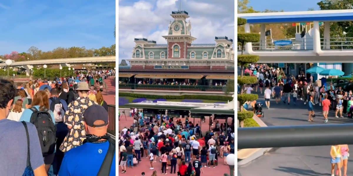 Spring Break Crowds Descend on Disney World, Fear and Panic Spreads